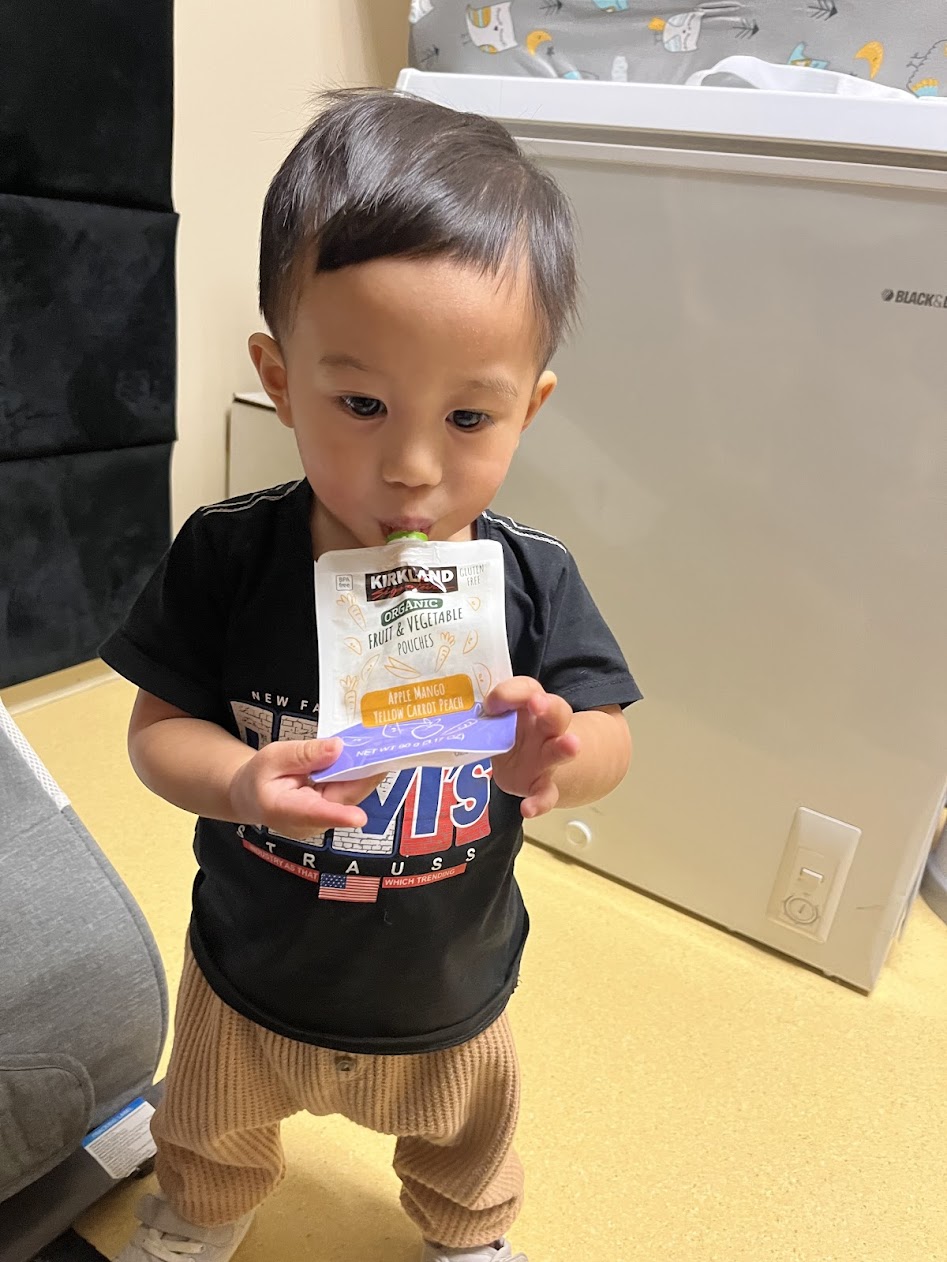 Flying with Baby Food Pouches? Here’s Your Simple TSA Guide | Diapers ...